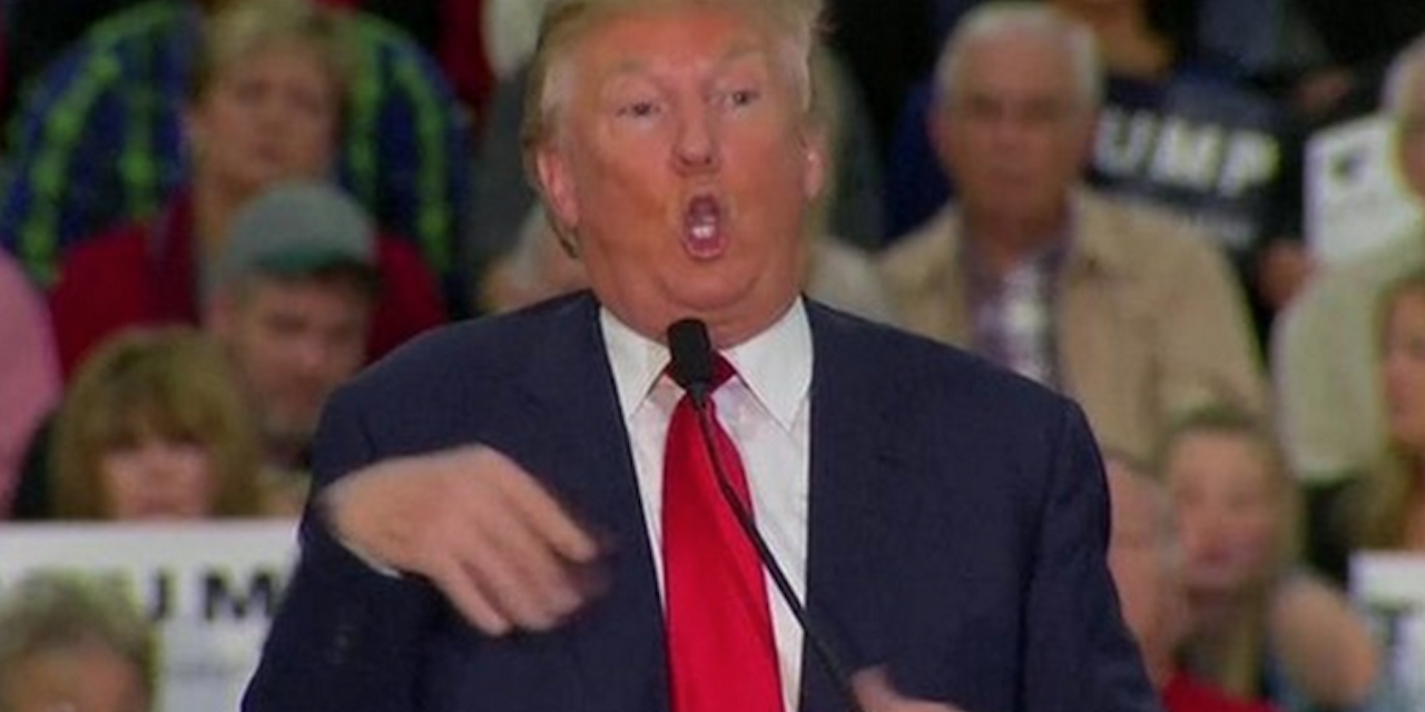 Donald Trump Under Fire for Mocking a Reporter With a Disability