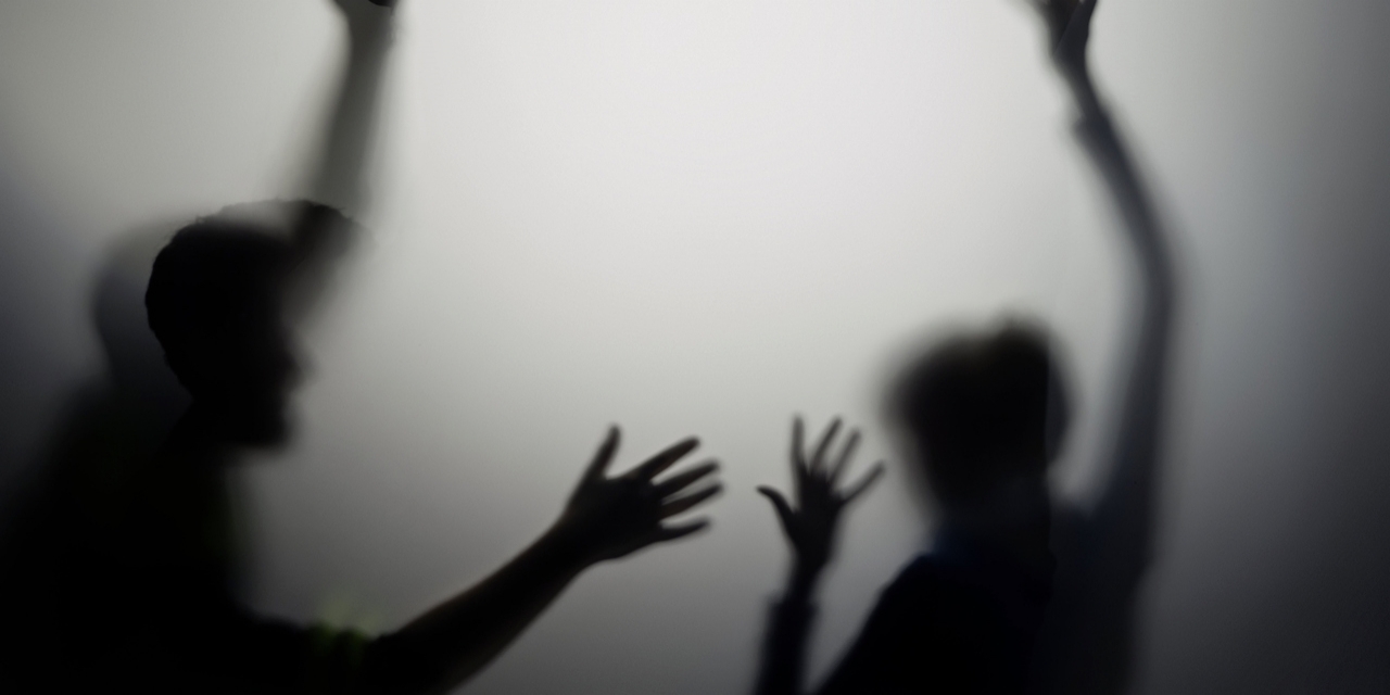 To My Shadow Named Bipolar Disorder