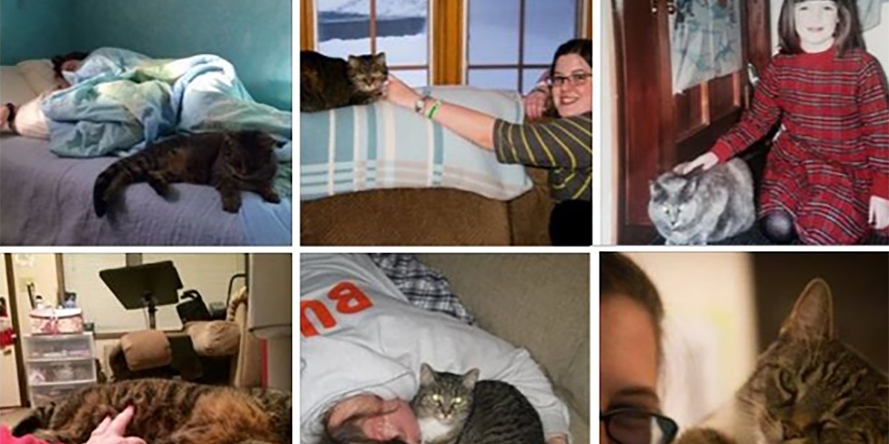 When My Visible Illness Hides My Invisible Disability Advocacy