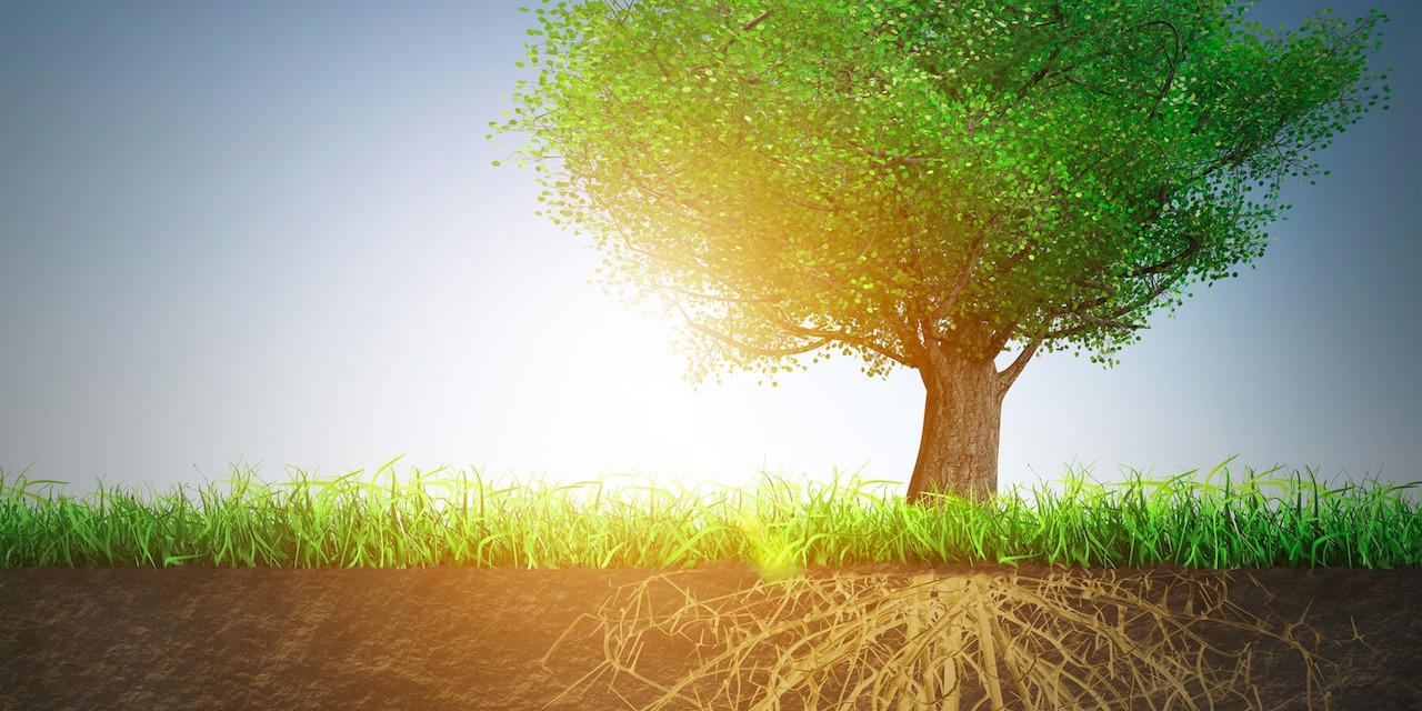 To My Friends Who Keep Me Rooted in My Recovery