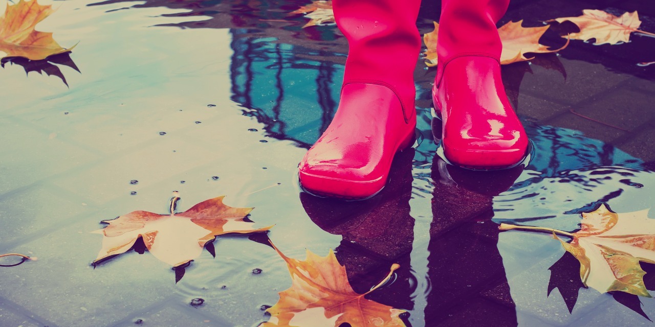 When Others See the Beauty of Autumn, Depression Makes Me See This