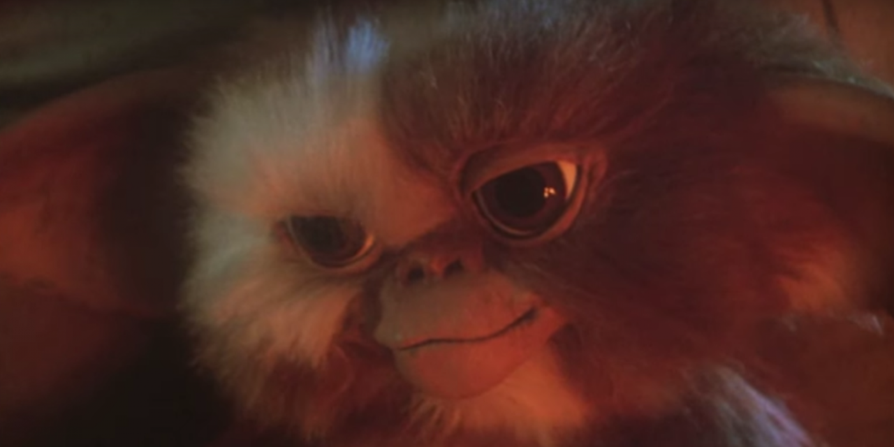 How to Turn Your Chronic Illness 'Gremlins' Into Your Furry Cheerleaders