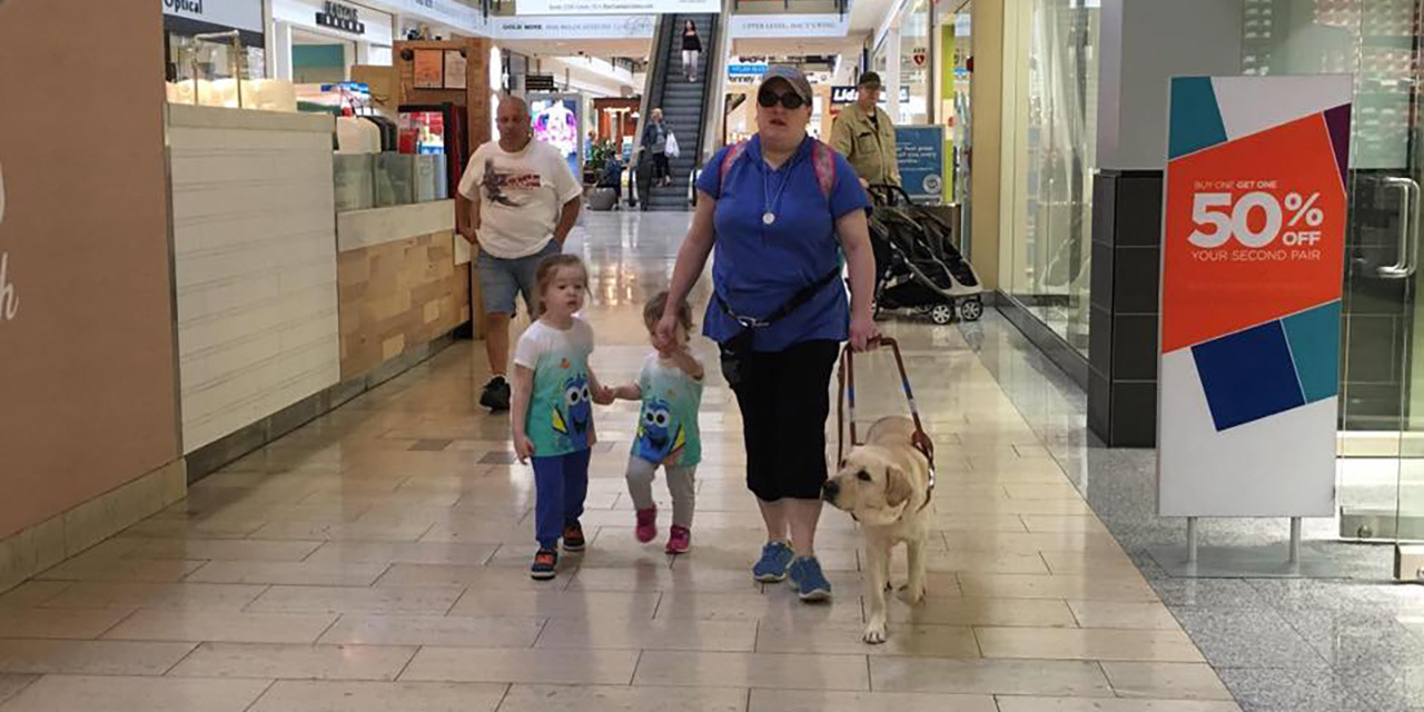 To My Guide Dog's Puppy Raisers: Thank You