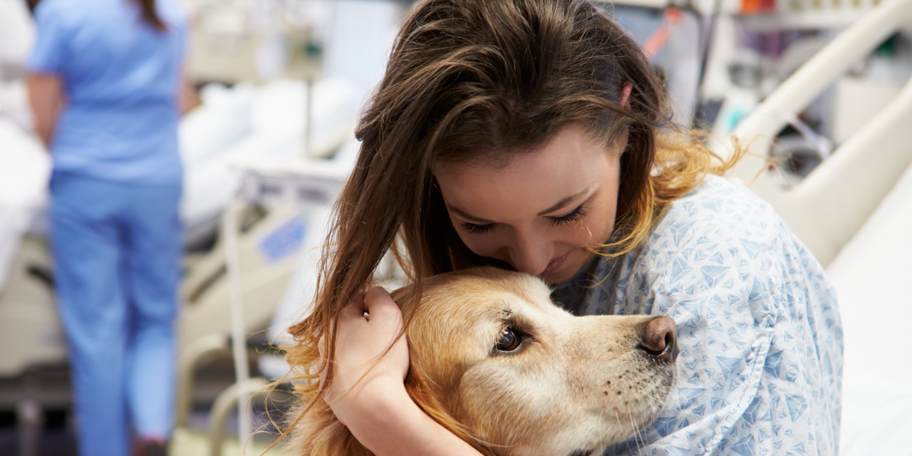 6 Tips for Introducing a Therapy Pet to Someone With Depression