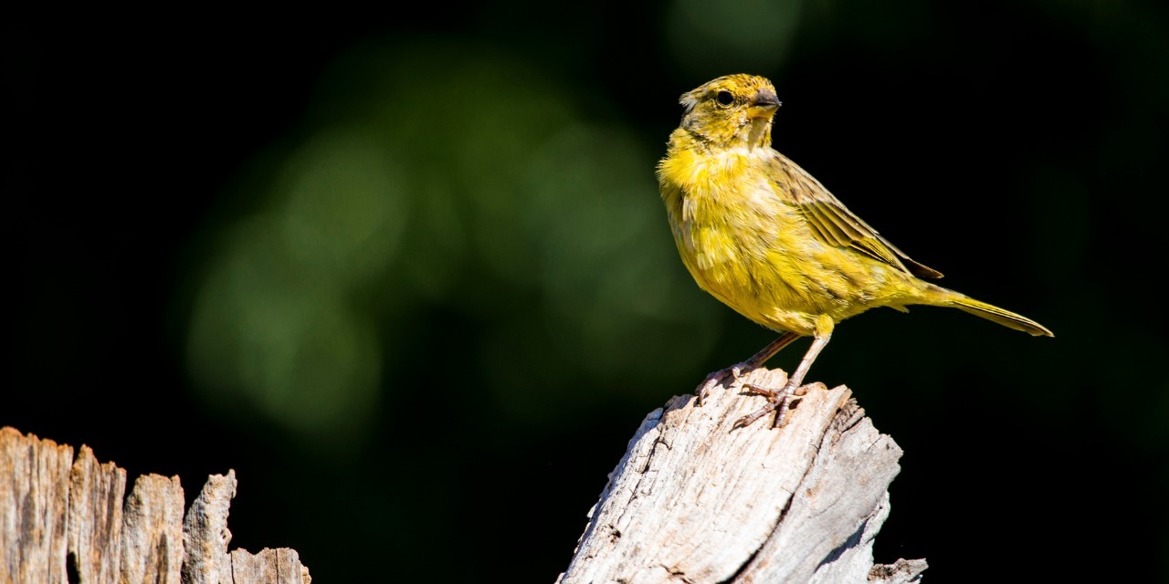 3 Things I Want Everyone to Know During MCS Awareness Month