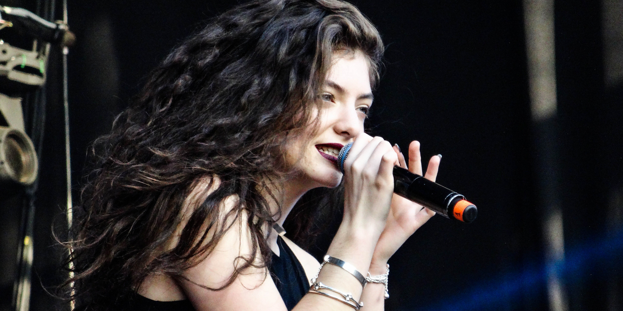 Response to Lorde's Autoimmune Disease Comment by Woman With Sjogren's