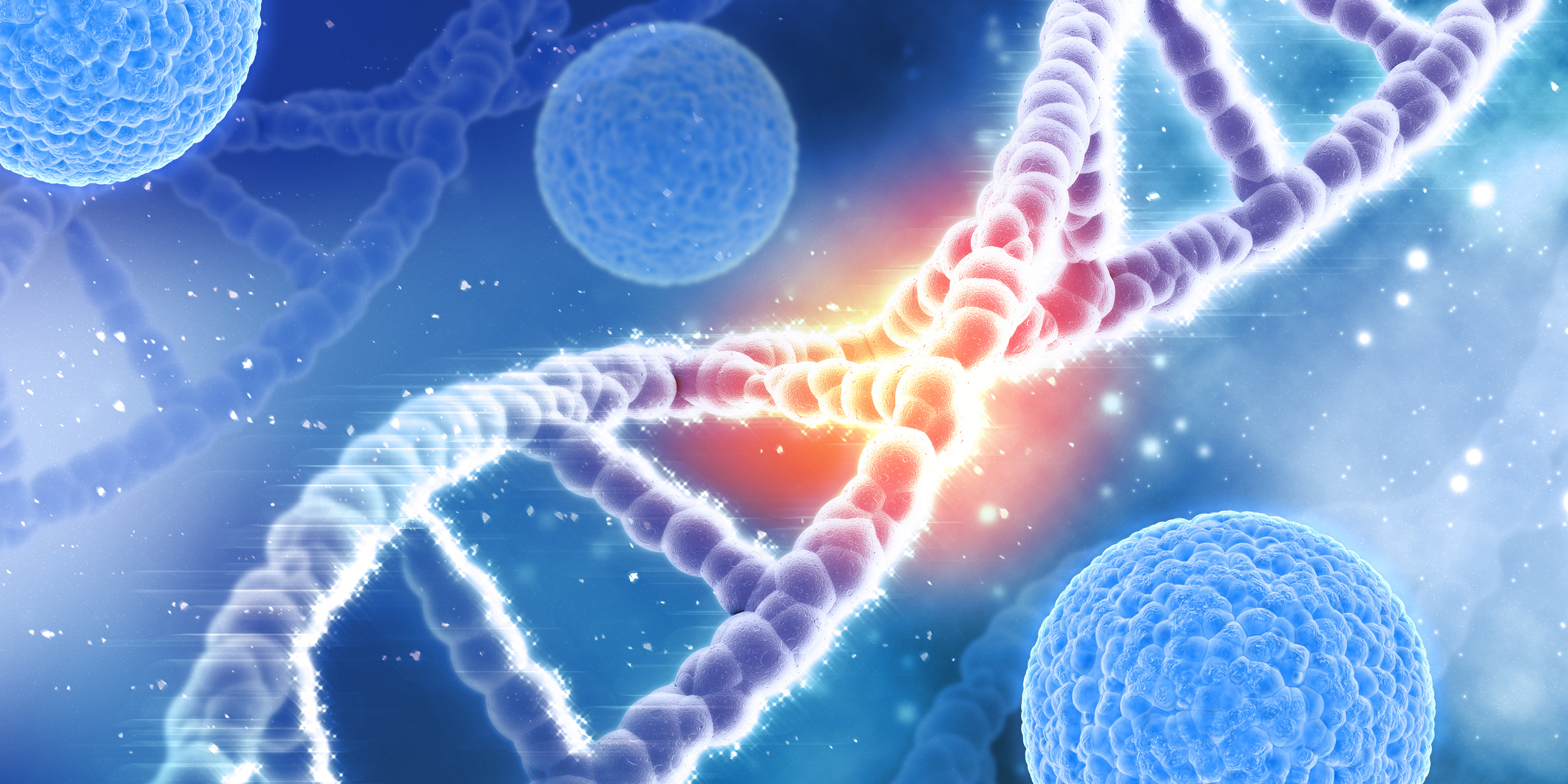 Effects Of MTHFR Gene Mutation On Physical And Mental Health The Mighty