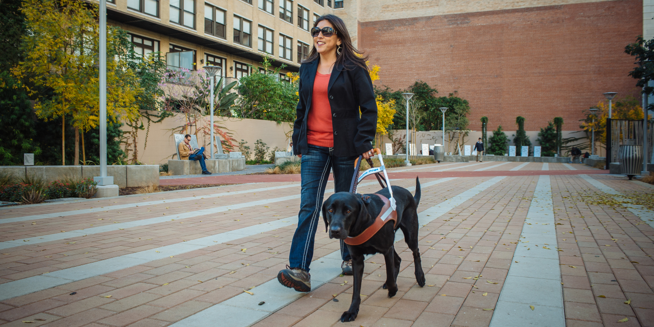The Joys and Challenges of Being a Guide Dog Handler