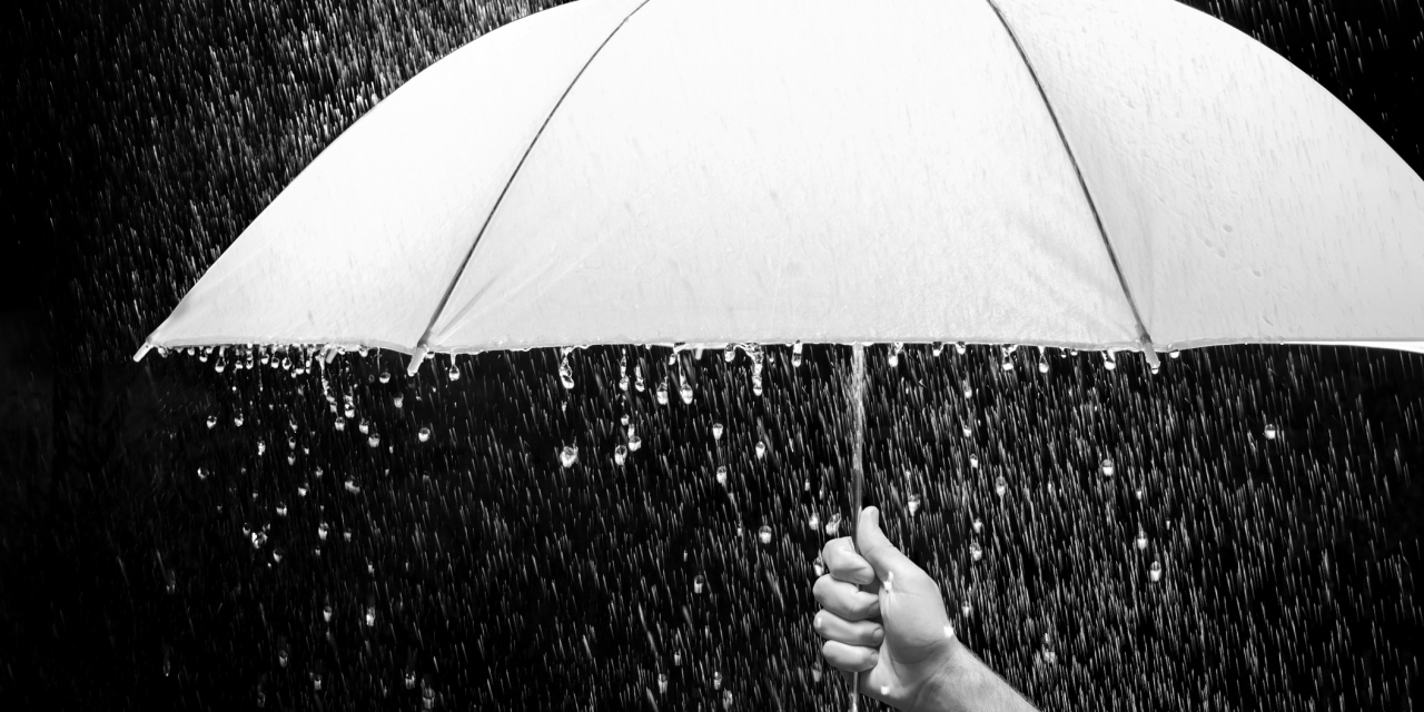 What Harvard's Study That Claims There's 'No Relation' Between Rain and ...