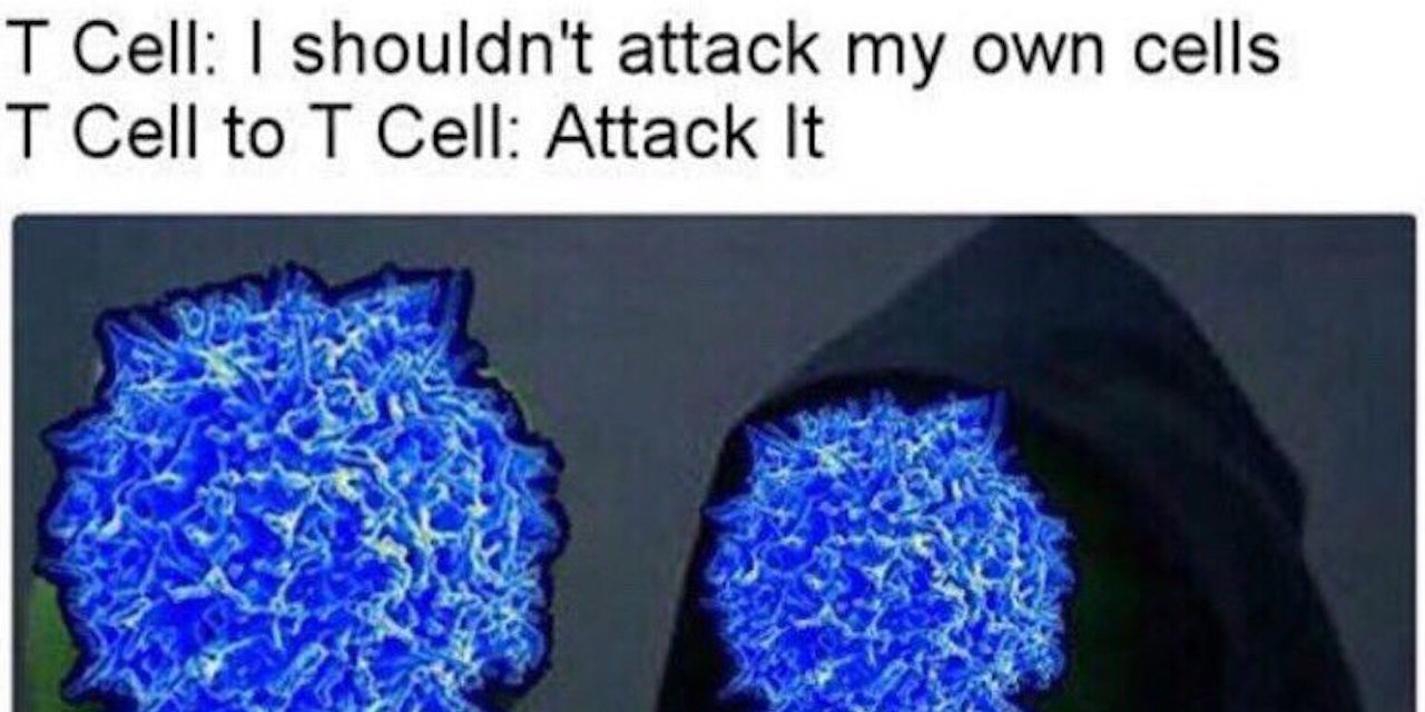 14 Memes That Nail What It's Like to Have an Autoimmune Disease