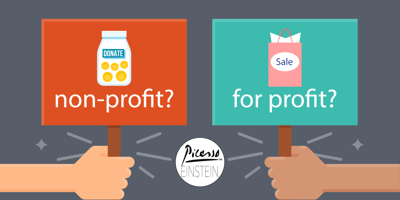 Should Entrepreneurs With Disabilities Choose a Non-Profit or For ...