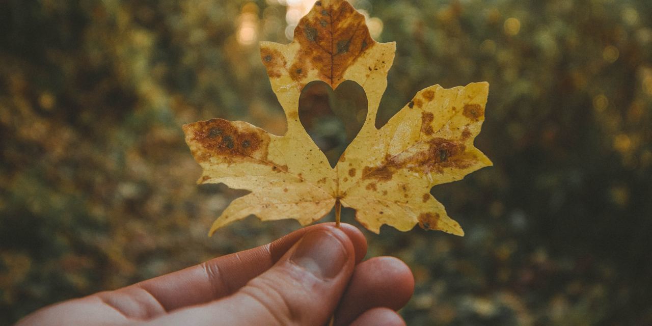 To The People Struggling With Mental Illness Today The Mighty to-the-people-struggling-with-mental-illness-today-the-mighty