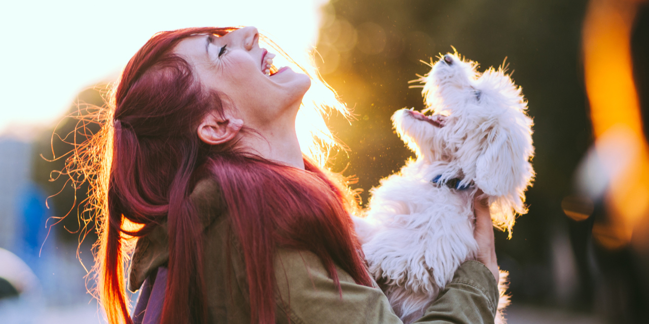 8 Benefits That Make Dogs Great for Your Mental Health and Wellbeing