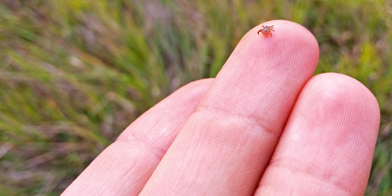 The Growing Threat Of Post Treatment Lyme Disease Syndrome the-growing-threat-of-post-treatment-lyme-disease-syndrome