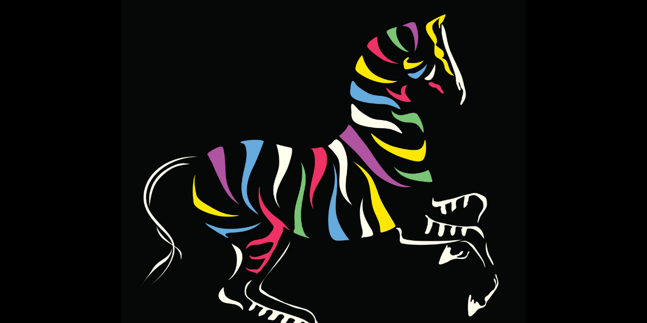 How Hypermobility Spectrum Disorder Makes Me a Different Kind of Zebra