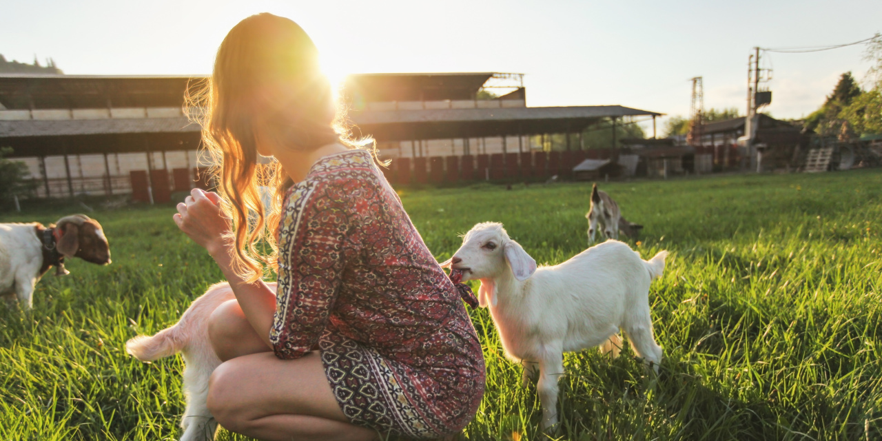 What a Goat Taught Me About Self-Compassion Amid Chronic Illness