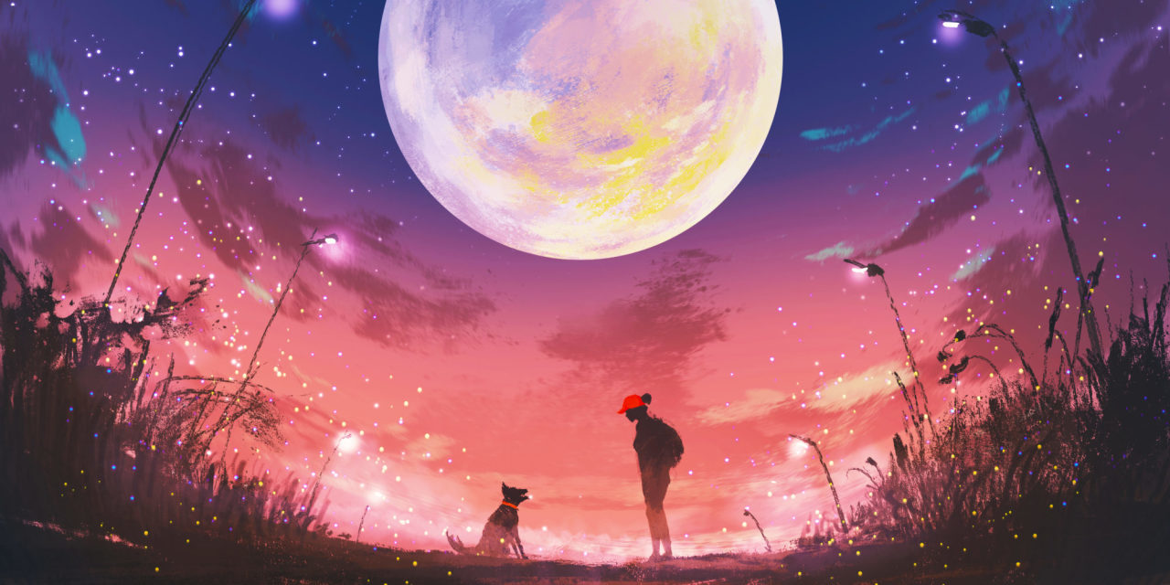 Finding Your ‘Anxiety Animal’ Might Be the Tool You Need Right Now