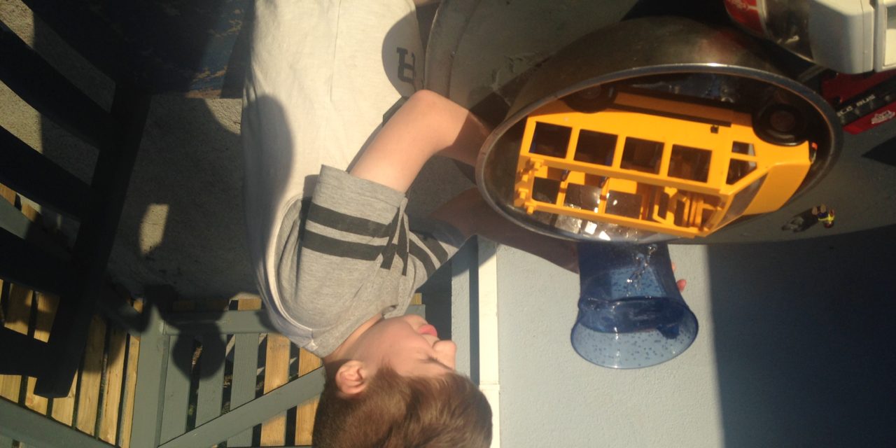 11 Tips to Help Your Autistic Siblings With Distance Learning