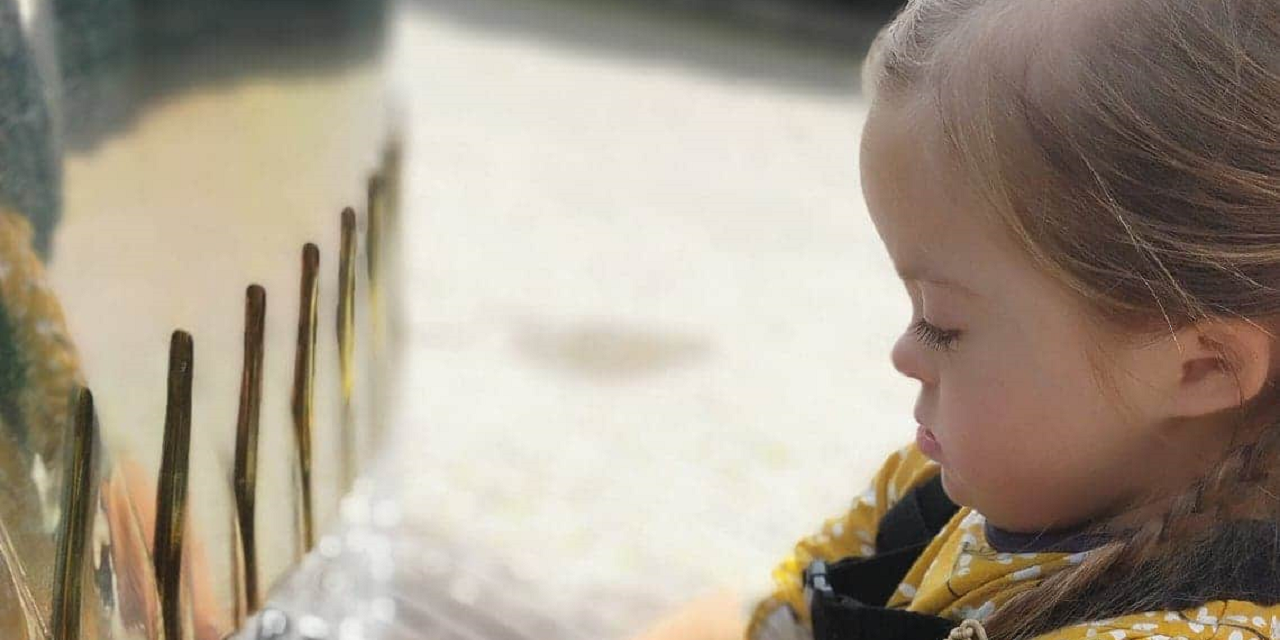 Why EHCP Assessments Should Be Mandatory for U.K. Kids With Down Syndrome