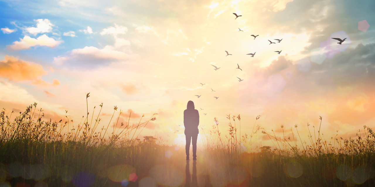 So You Survived, Now What?