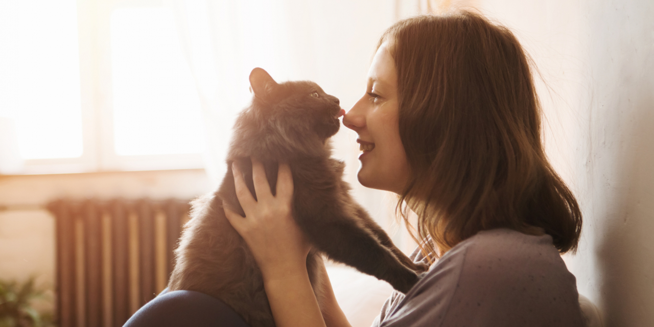 When I Learned to Love Cats, I Learned to Love Myself